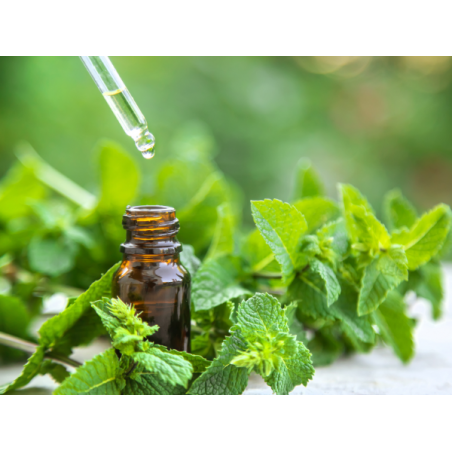 Huile essentielle de Menthe Poivrée
