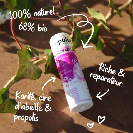 Baume à lèvres Propolis & Karité
