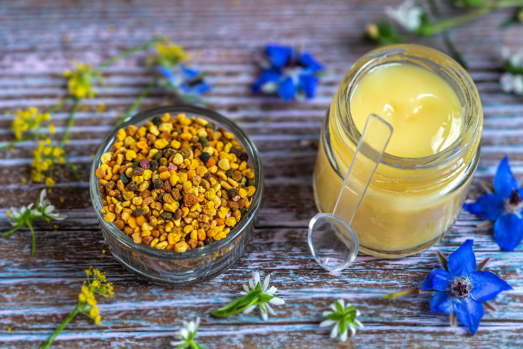 Gelée royale, Tout savoir sur ses propriétés et ses vertus